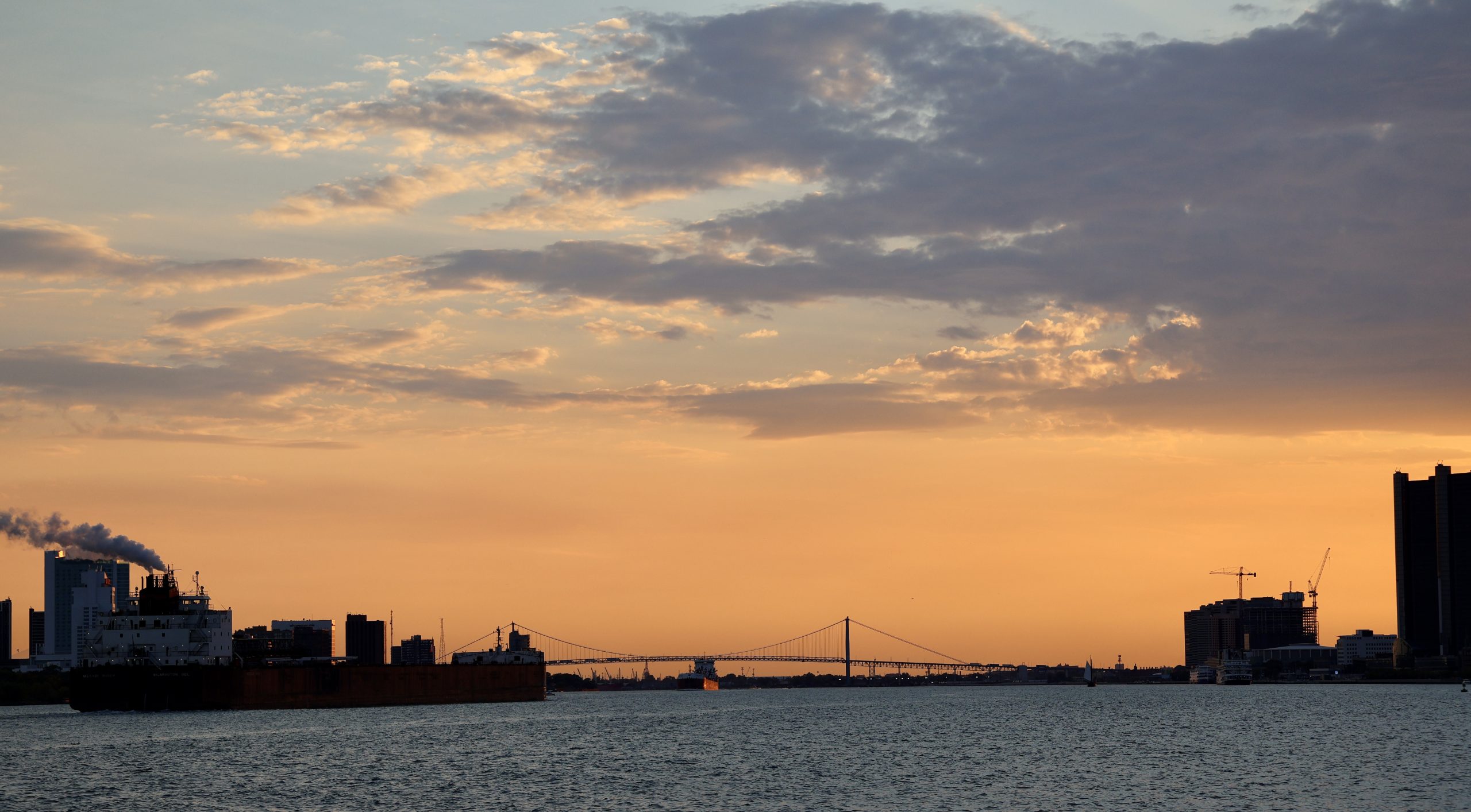 The delights of urban birding - 10,000 Birds