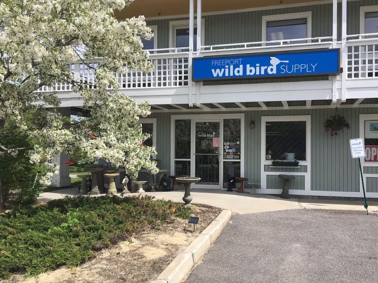 Interview with Derek Lovitch, Bird Book Author, Bird Guide and Bird ...