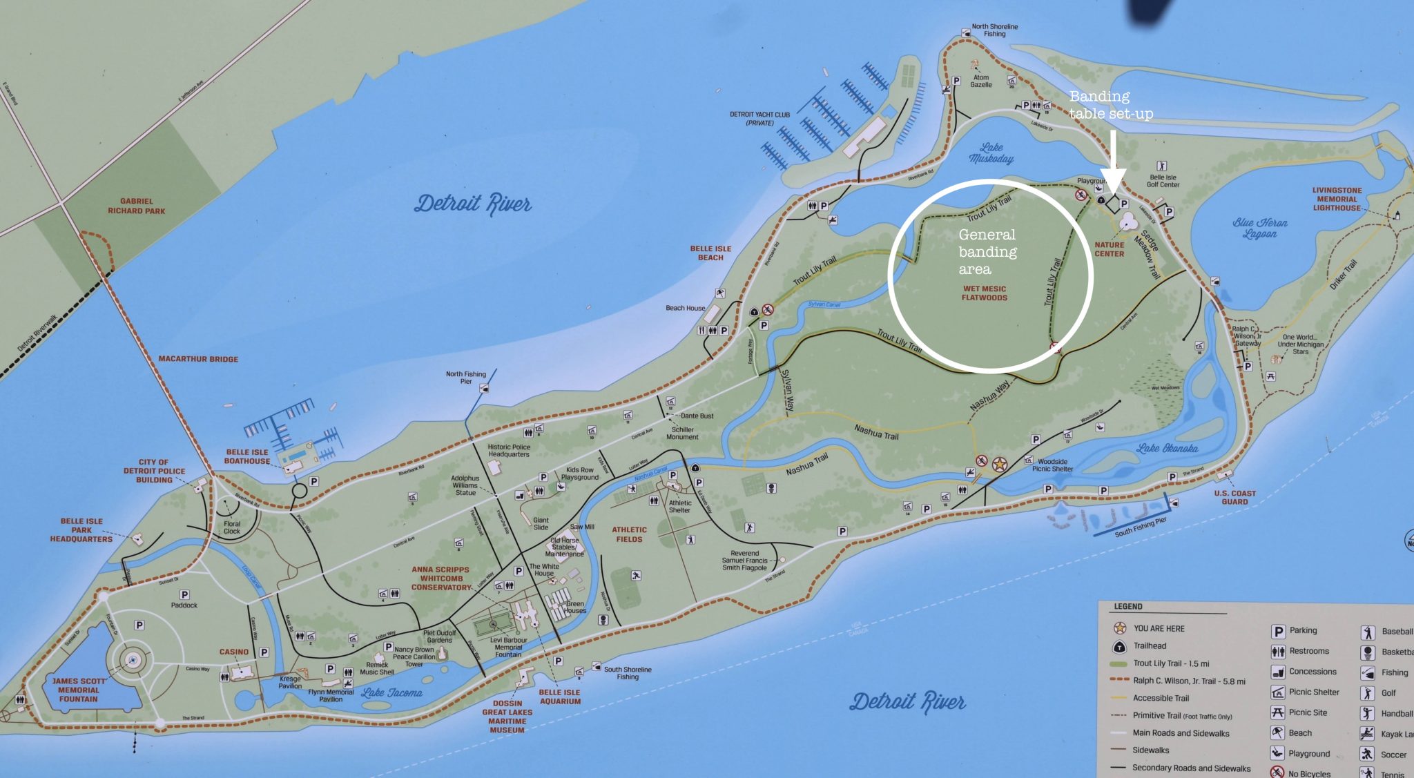 Interview with bird bander Allen Chartier - 10,000 Birds