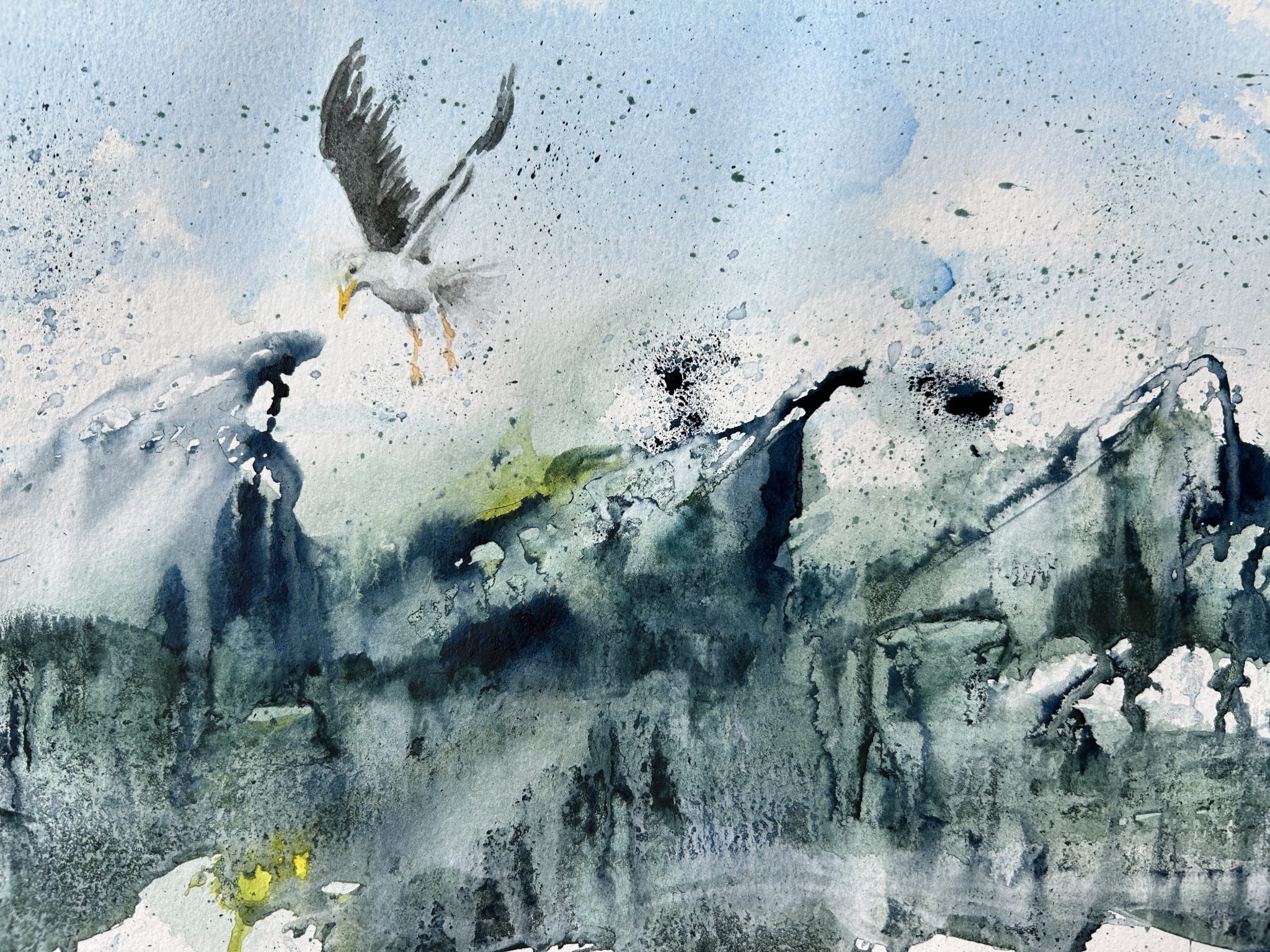 Interviews with 10,000 Birds Writers - Mary Alice Hayward - 10,000 Birds