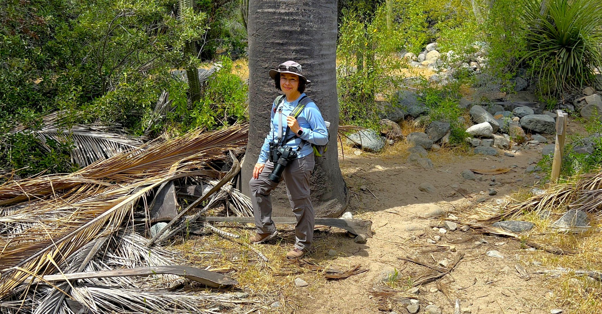 Interviews with 10,000 Birds Writers - Mary Alice Hayward - 10,000 Birds