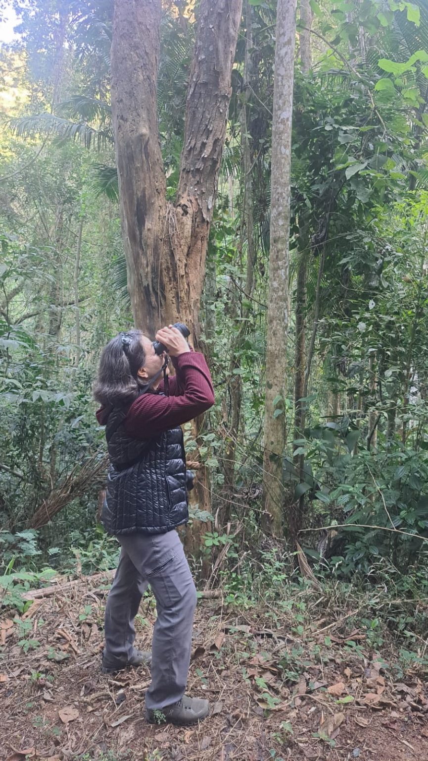 Interviews with 10,000 Birds Writers - Mary Alice Hayward - 10,000 Birds