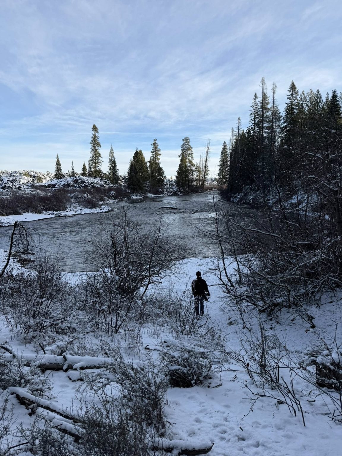 Christmas Bird Count - Sunriver, Oregon - 10,000 Birds