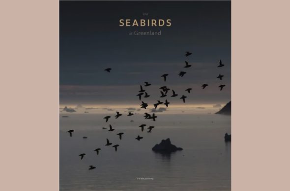 The Seabirds of Greenland: A Book Review - 10,000 Birds
