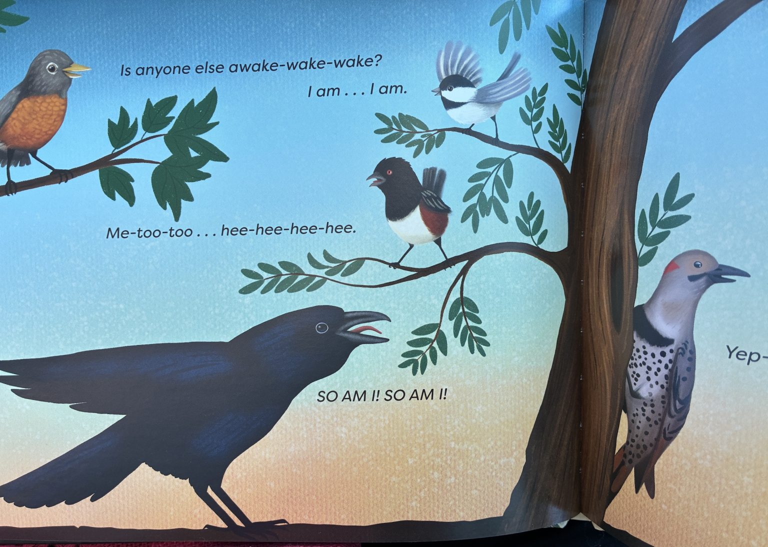Anyone Else Awake? A KidLit Bird Book Review - 10,000 Birds