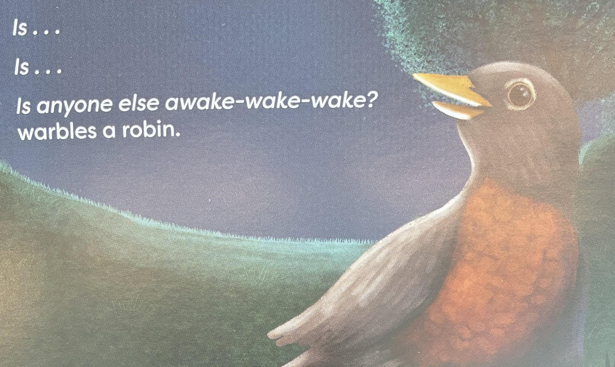 Anyone Else Awake? A KidLit Bird Book Review - 10,000 Birds
