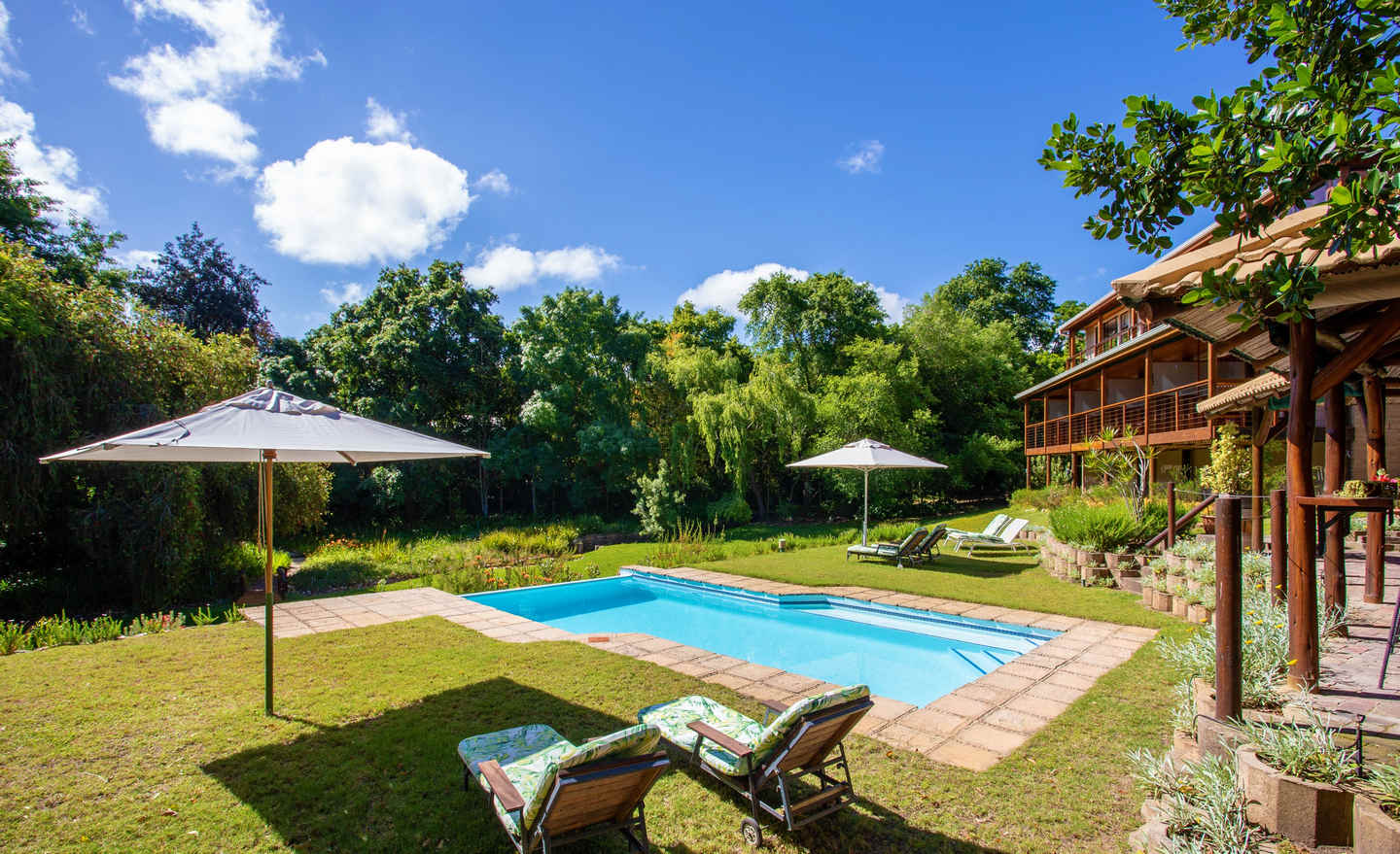 Birding Lodges of the World: Pumula Lodge, South Africa - 10,000 Birds