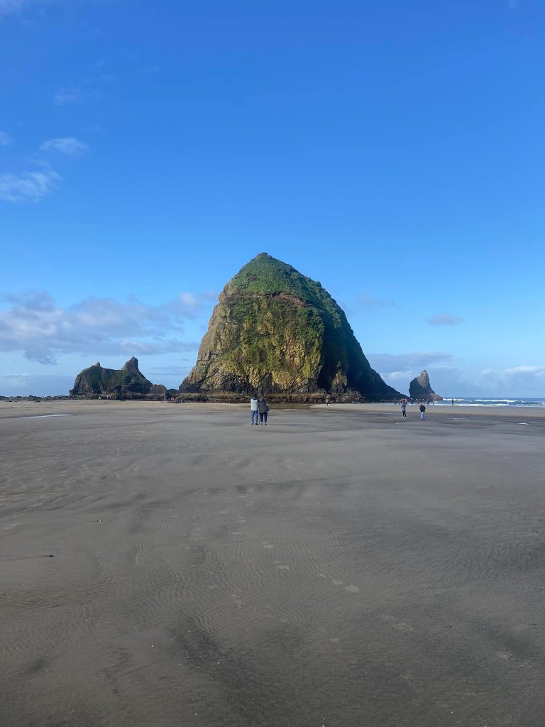 Tufted Puffins on the Oregon Coast - 10,000 Birds