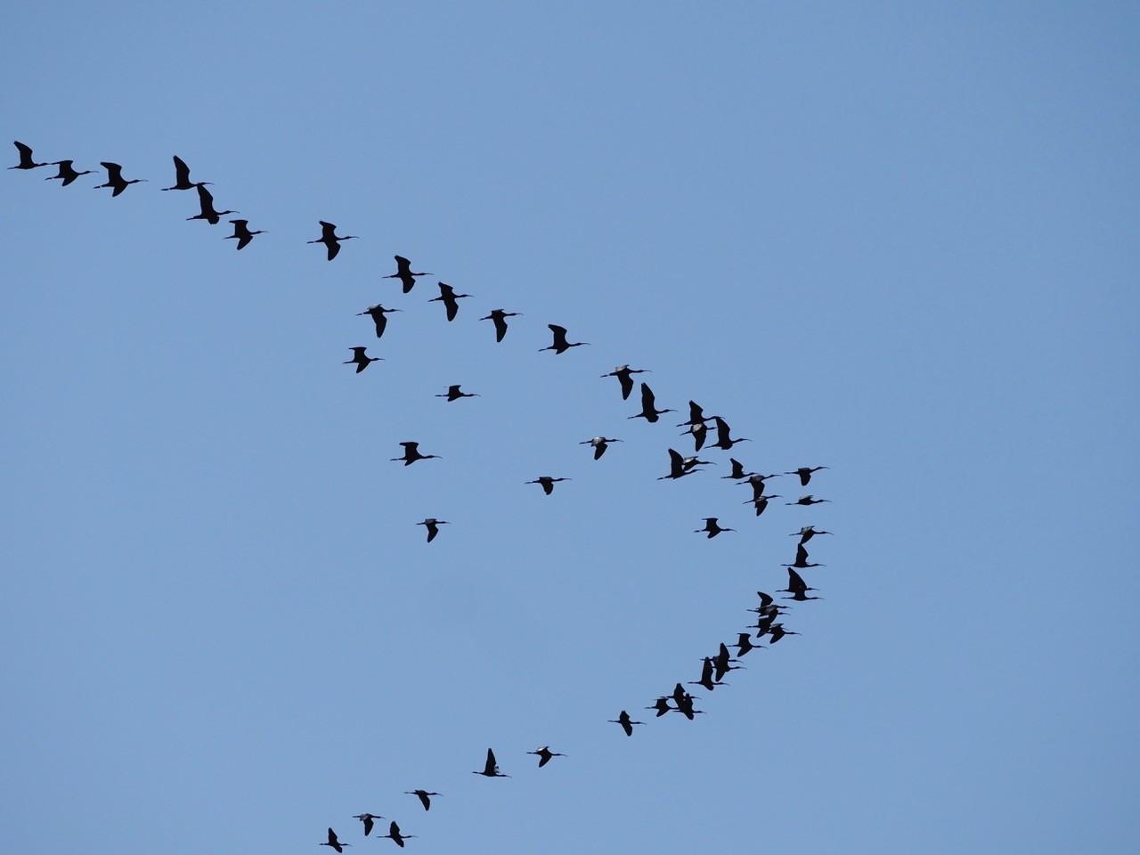 Cyprus Delights - Part II - 10,000 Birds