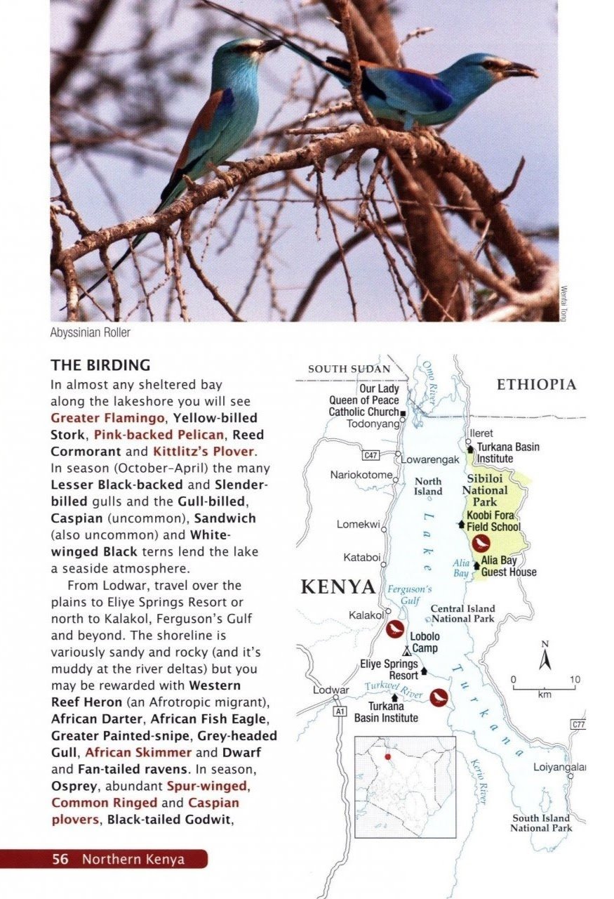 50 Top Birding Sites in Kenya review - 10,000 Birds