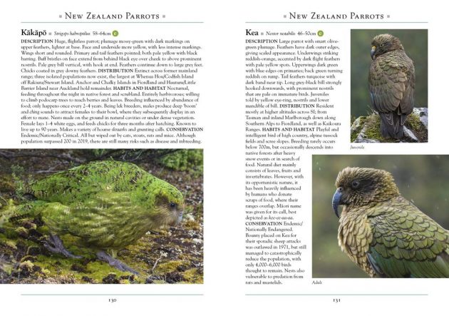 A Naturalist’s Guide to the Birds of New Zealand - 10,000 Birds