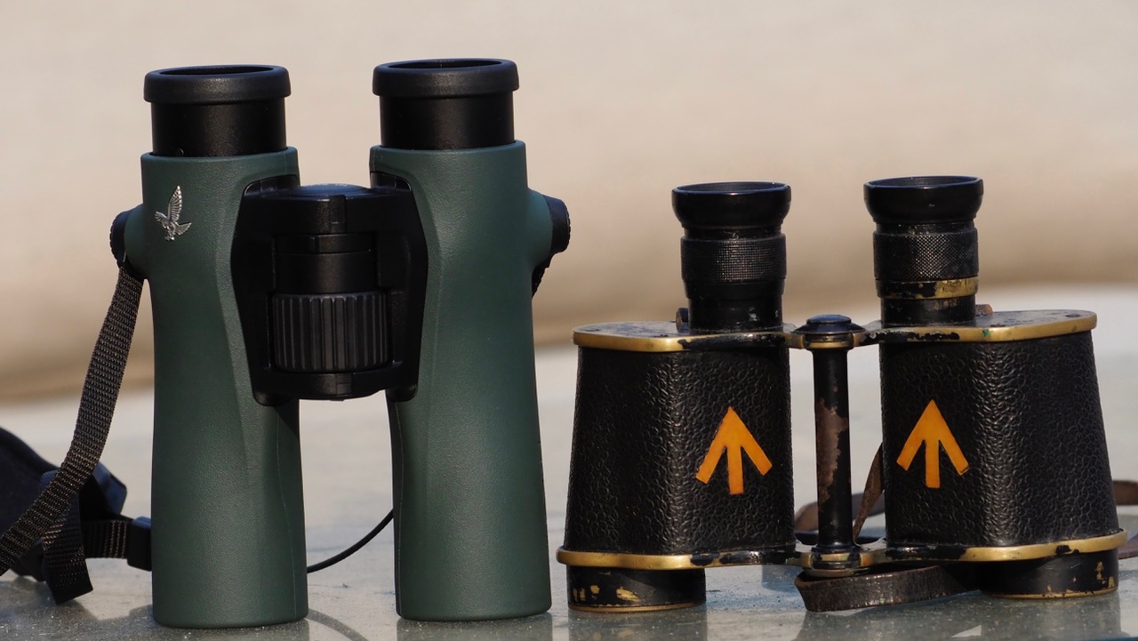 Binocular snobbery - 10,000 Birds