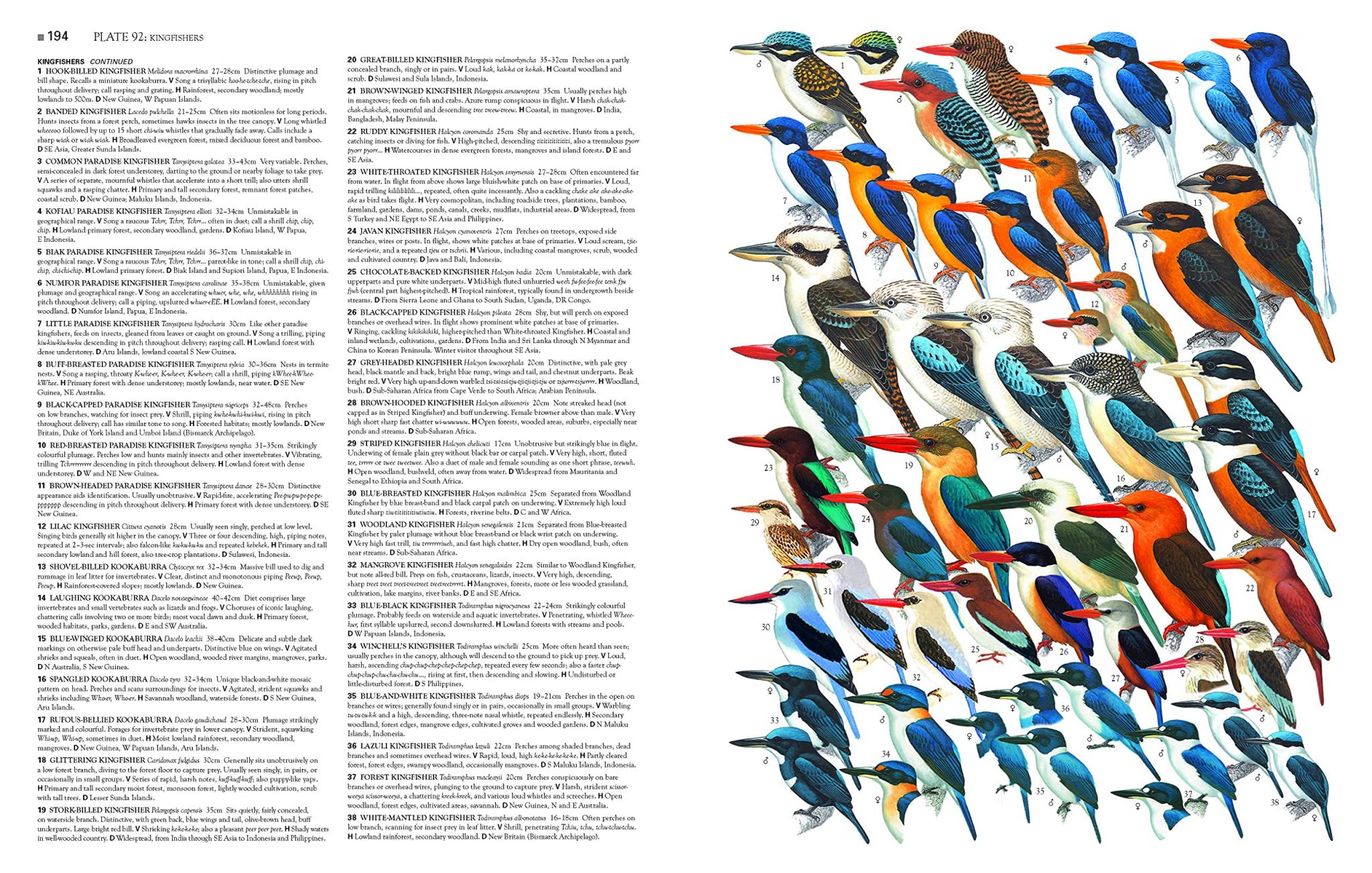 Collins Birds of the World by Norman Arlott - 10,000 Birds