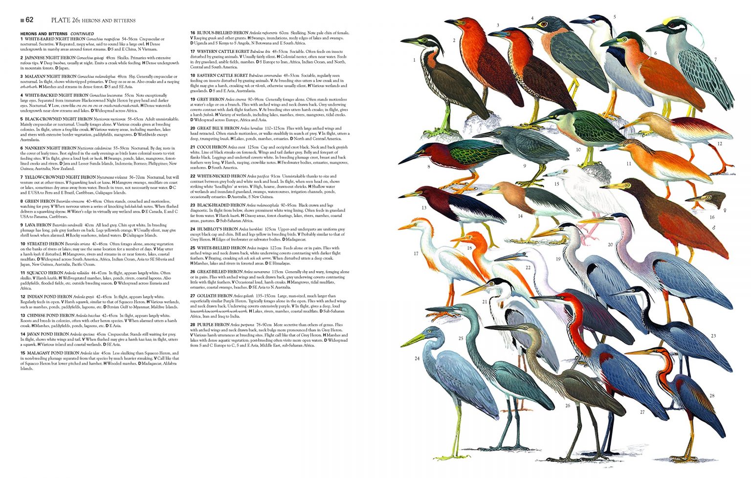 Collins Birds of the World by Norman Arlott - 10,000 Birds