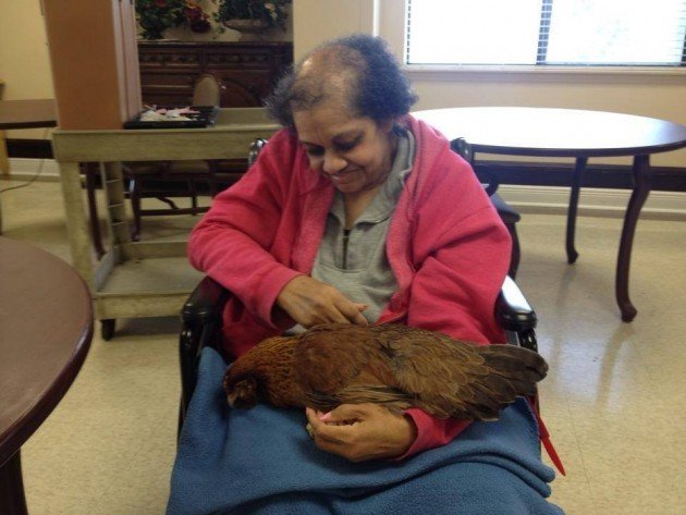 Visiting Bird Service: Avian “Pet Therapy” Cheers Seniors - 10,000 Birds