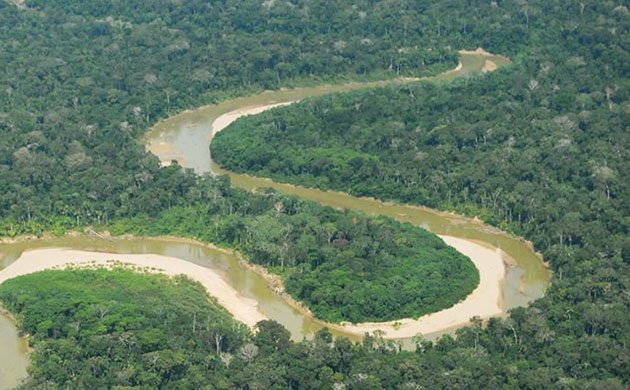 Birdlife on Amazonian River Beaches - 10,000 Birds