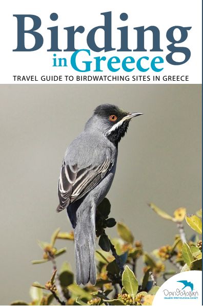 Birding in Greece - birdfinder book review - 10,000 Birds