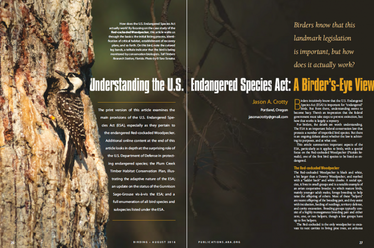 What’s Up with the ABA? - 10,000 Birds