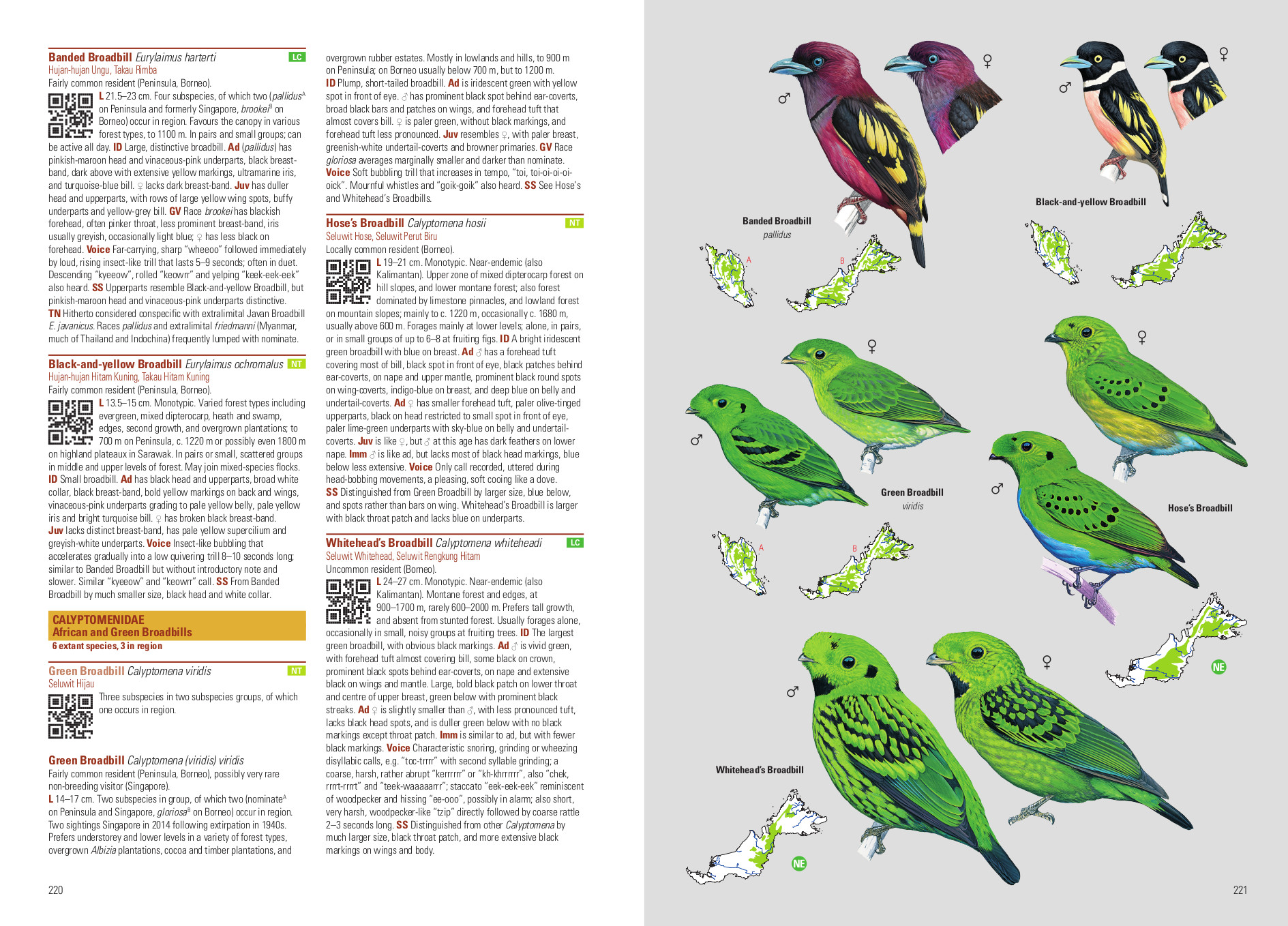 Birds Of Malaysia - Covering Peninsular Malaysia, Malaysian Borneo And ...