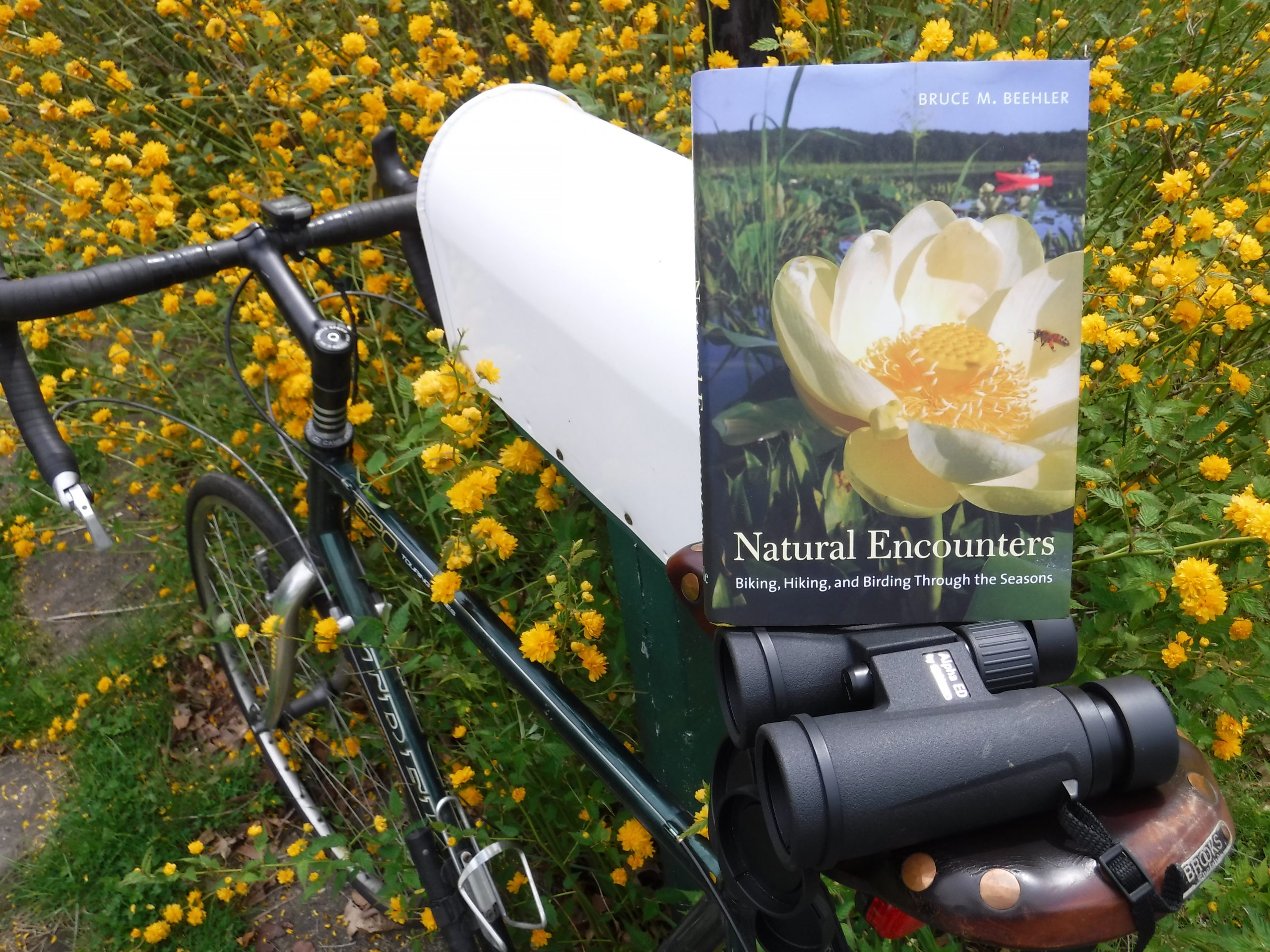 Beats the Beltway: a review of Bruce Beehler’s book “Natural Encounters ...