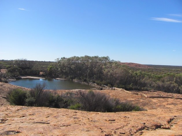 Burra Rock Conservation Reserve - 10,000 Birds