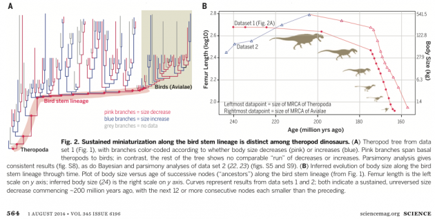 Honey, I Shrunk The Dinosaurs! - 10,000 Birds