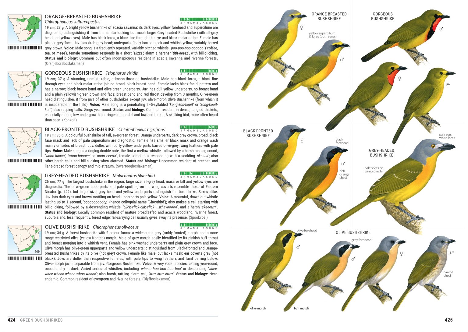 Sasol Birds of Southern Africa, 5th edition - 10,000 Birds