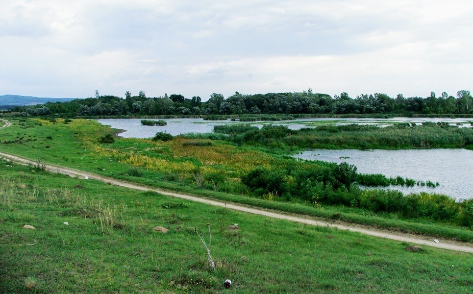 Finding birds in Deliblato Sands Reserve, part 2/3: the Labudovo okno ...