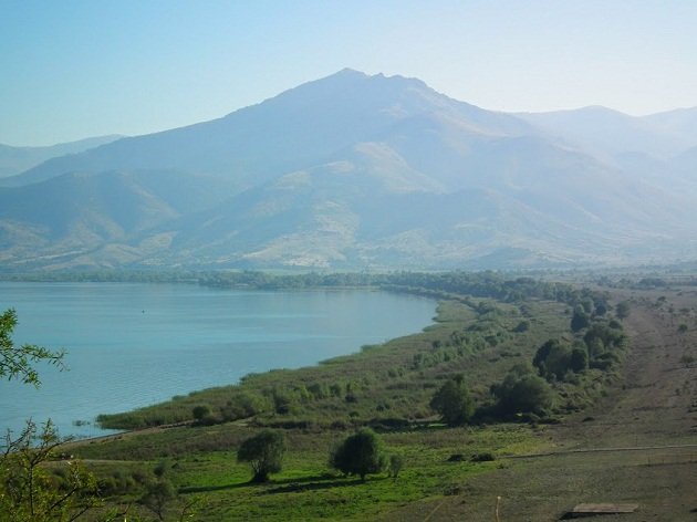 Prespa Lakes National Park, Greece: the largest Dalmatian Pelican ...
