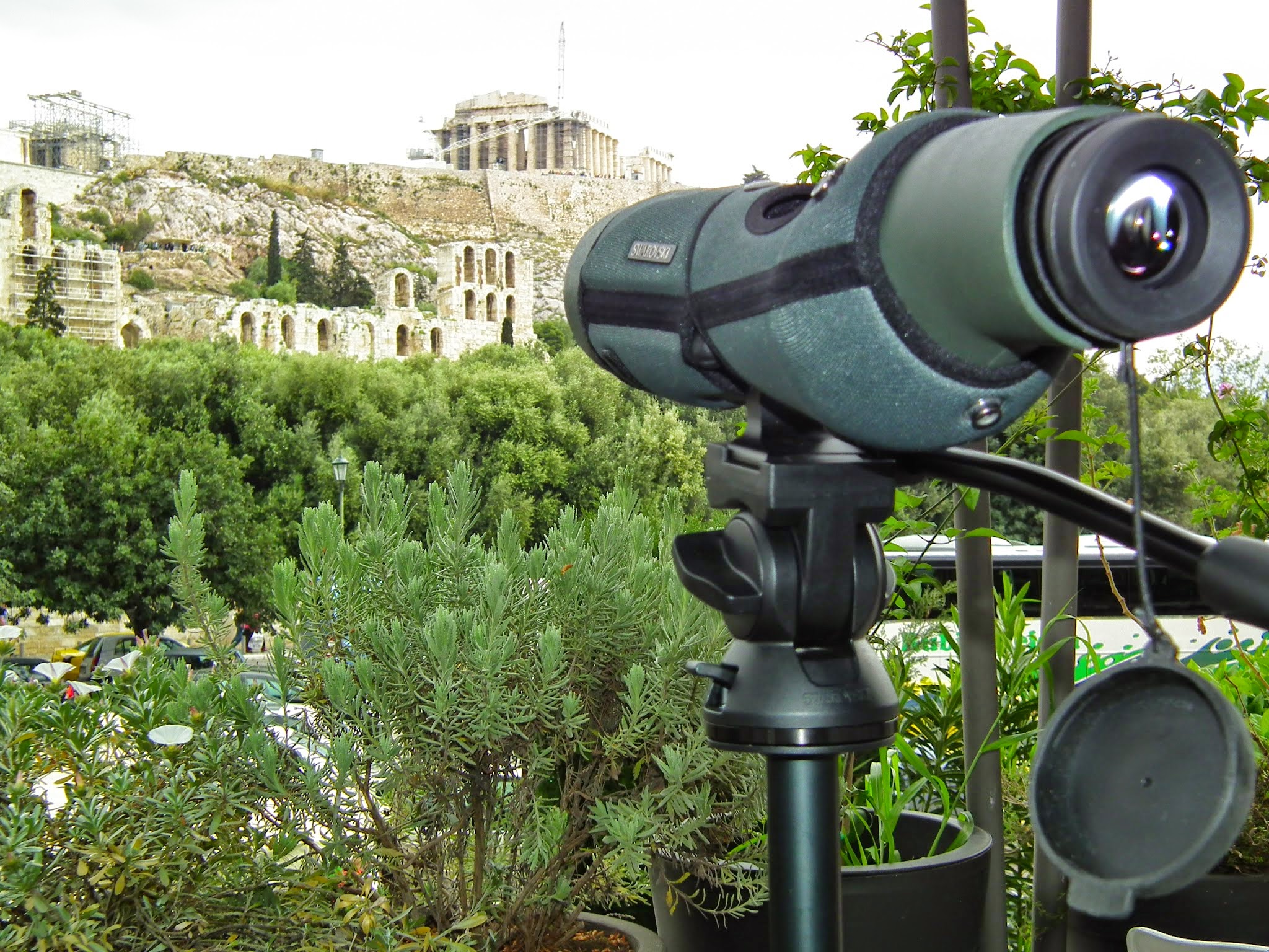 Birding the outskirts of Athens, Greece - 10,000 Birds