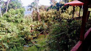 Snow in Costa Rica! - 10,000 Birds