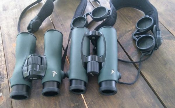 Birding with 12s: Swarovski NL Pure 12×42 - 10,000 Birds