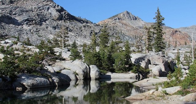 A Birder’s Guide to The Wilderness Act - 10,000 Birds