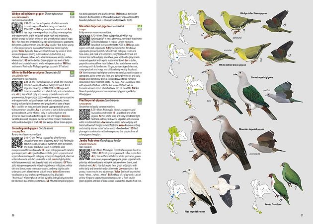 The New “Birds of Thailand” - 10,000 Birds