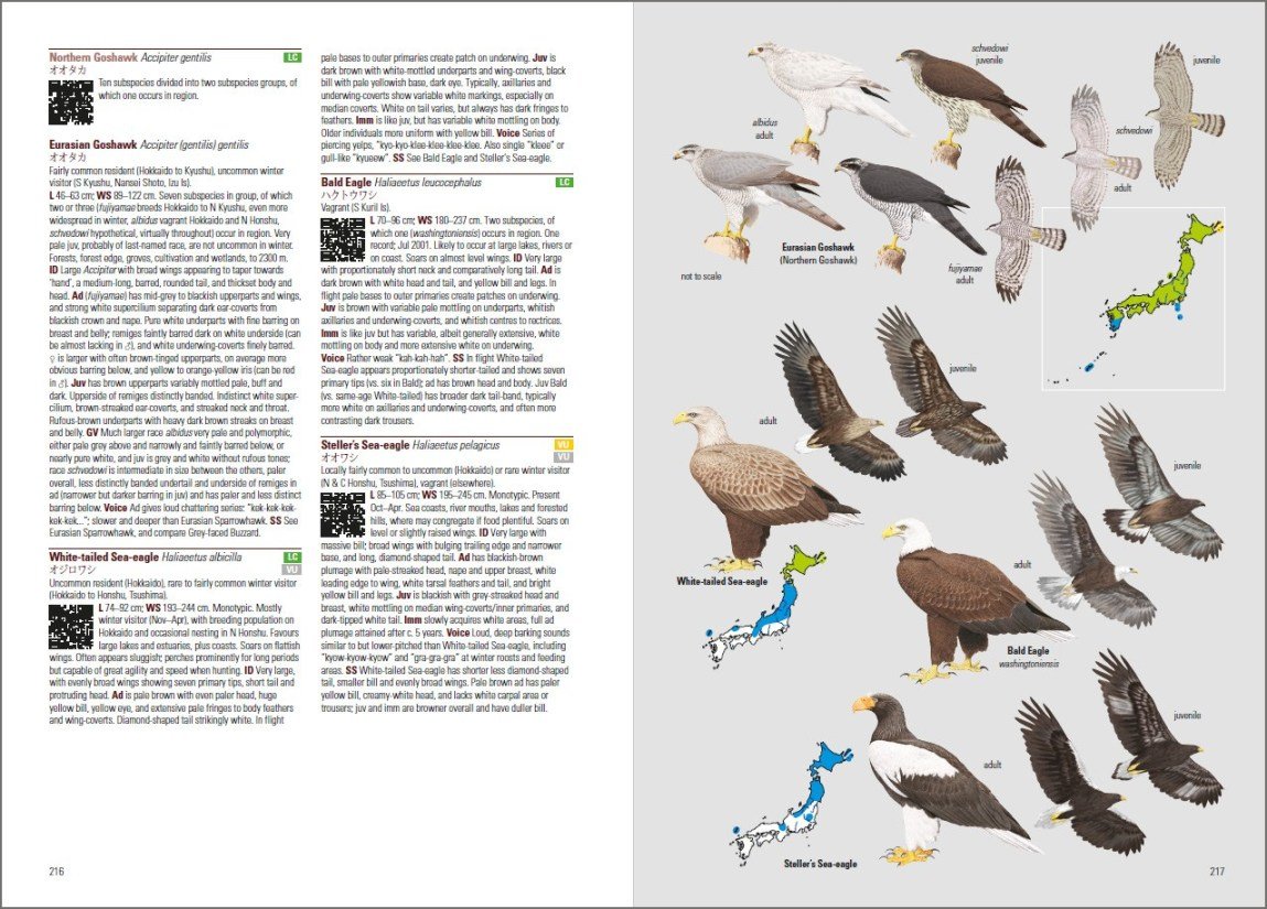 Birds of Japan by Otani Chikara - 10,000 Birds