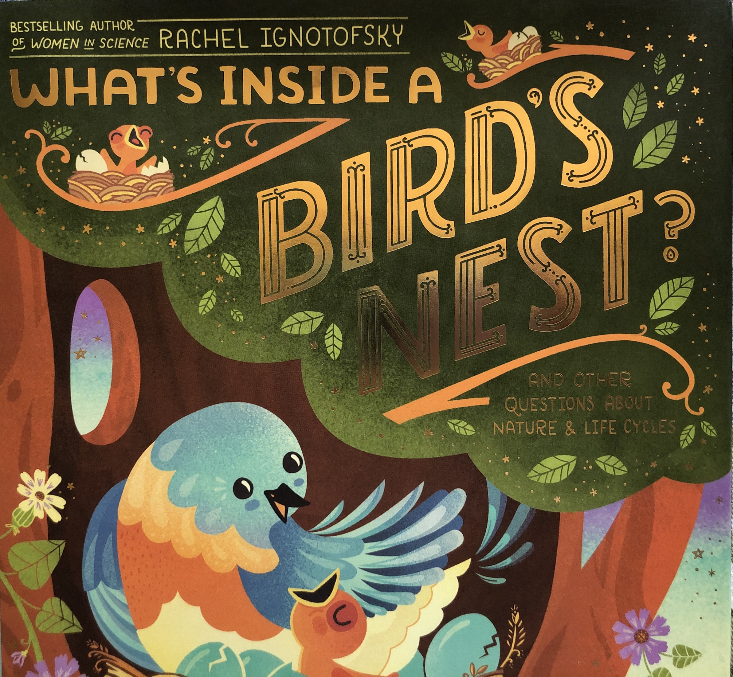 What’s Inside a Bird’s Nest: A KidLit Bird Book Review - 10,000 Birds