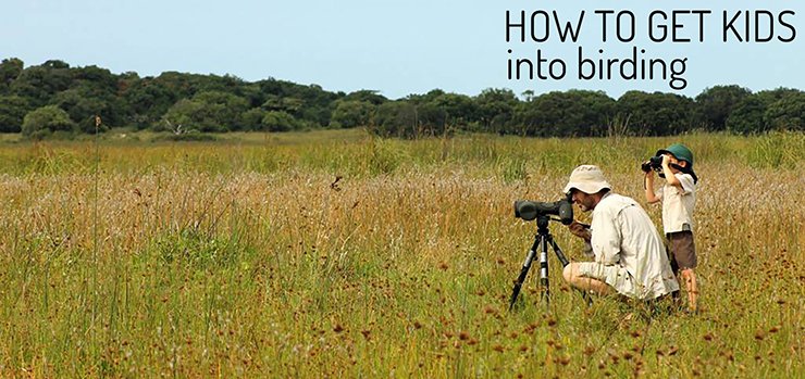 Bird Guides Produce Online Birding Tutorials - 10,000 Birds