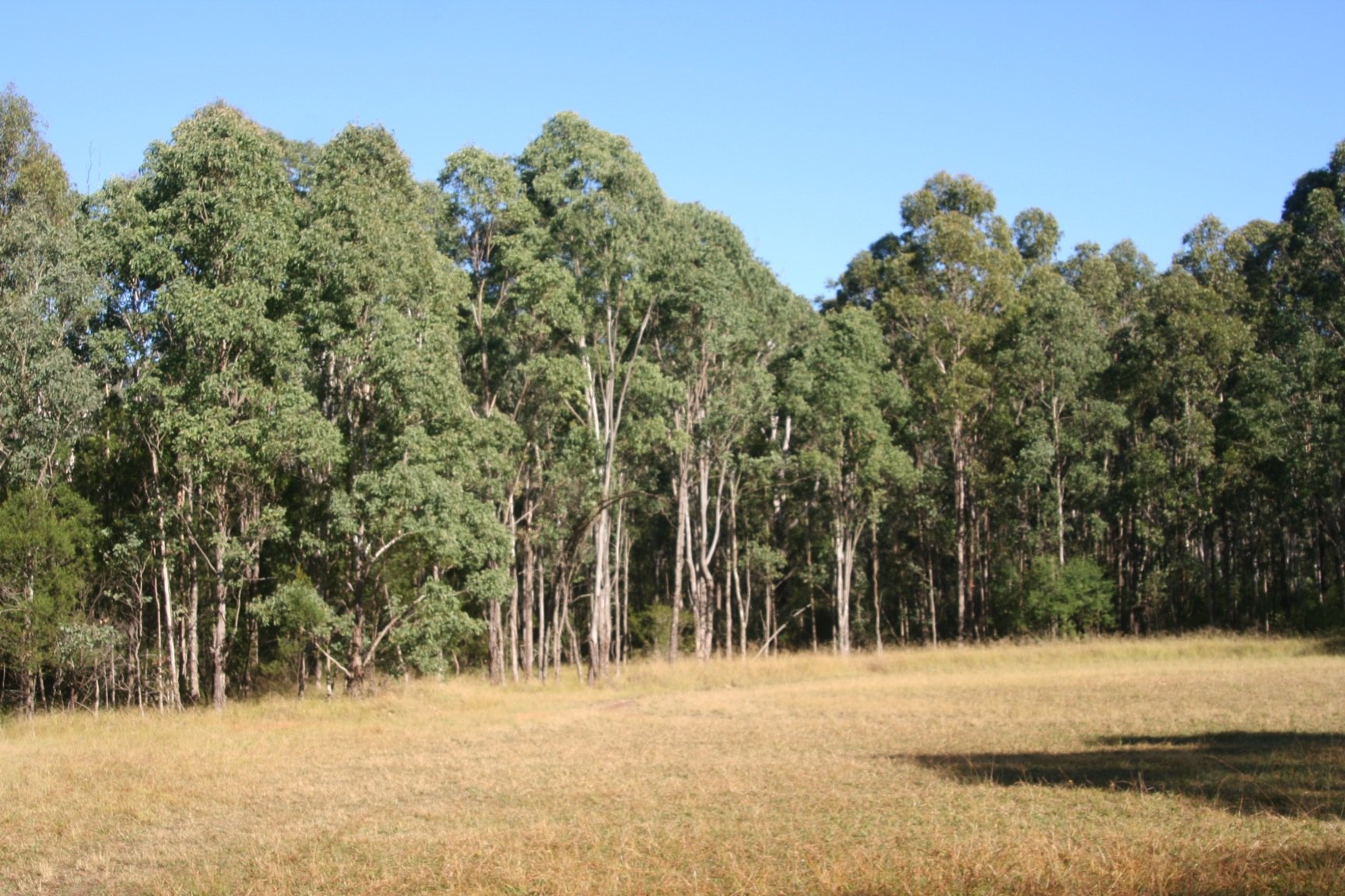 Scheyville National Park - 10,000 Birds