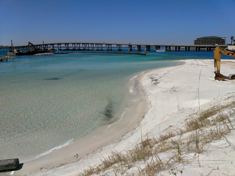 Daily Birding at Destin’s Norriego Point - 10,000 Birds