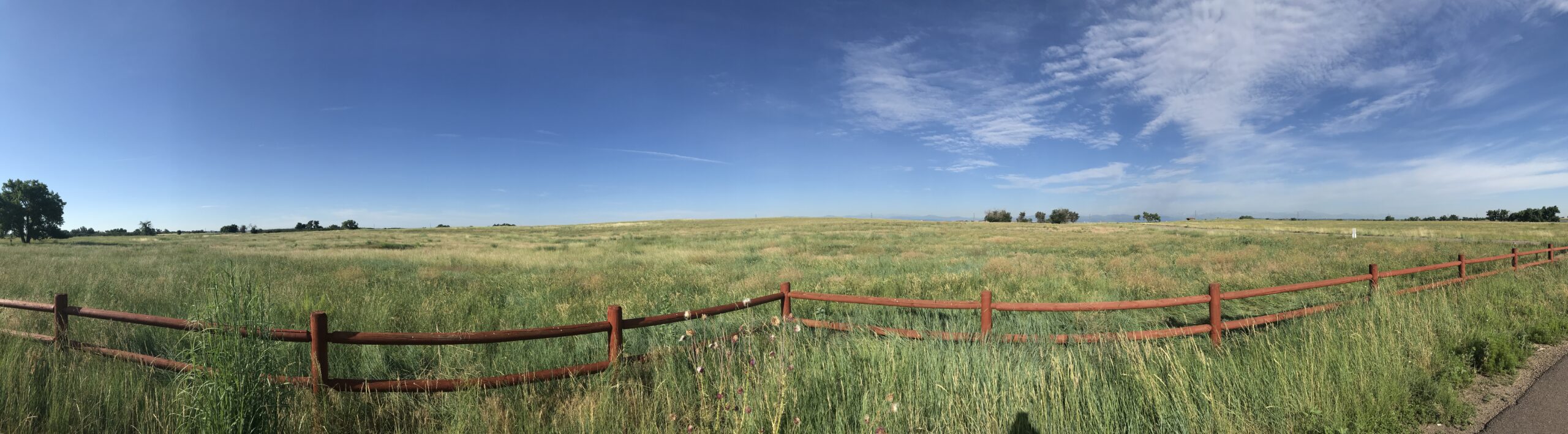 Chronic Exposure in Colorado - 10,000 Birds