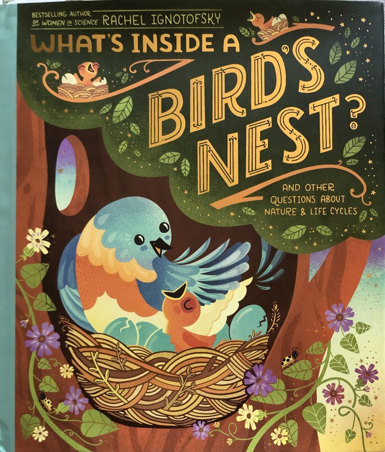 What’s Inside a Bird’s Nest: A KidLit Bird Book Review - 10,000 Birds