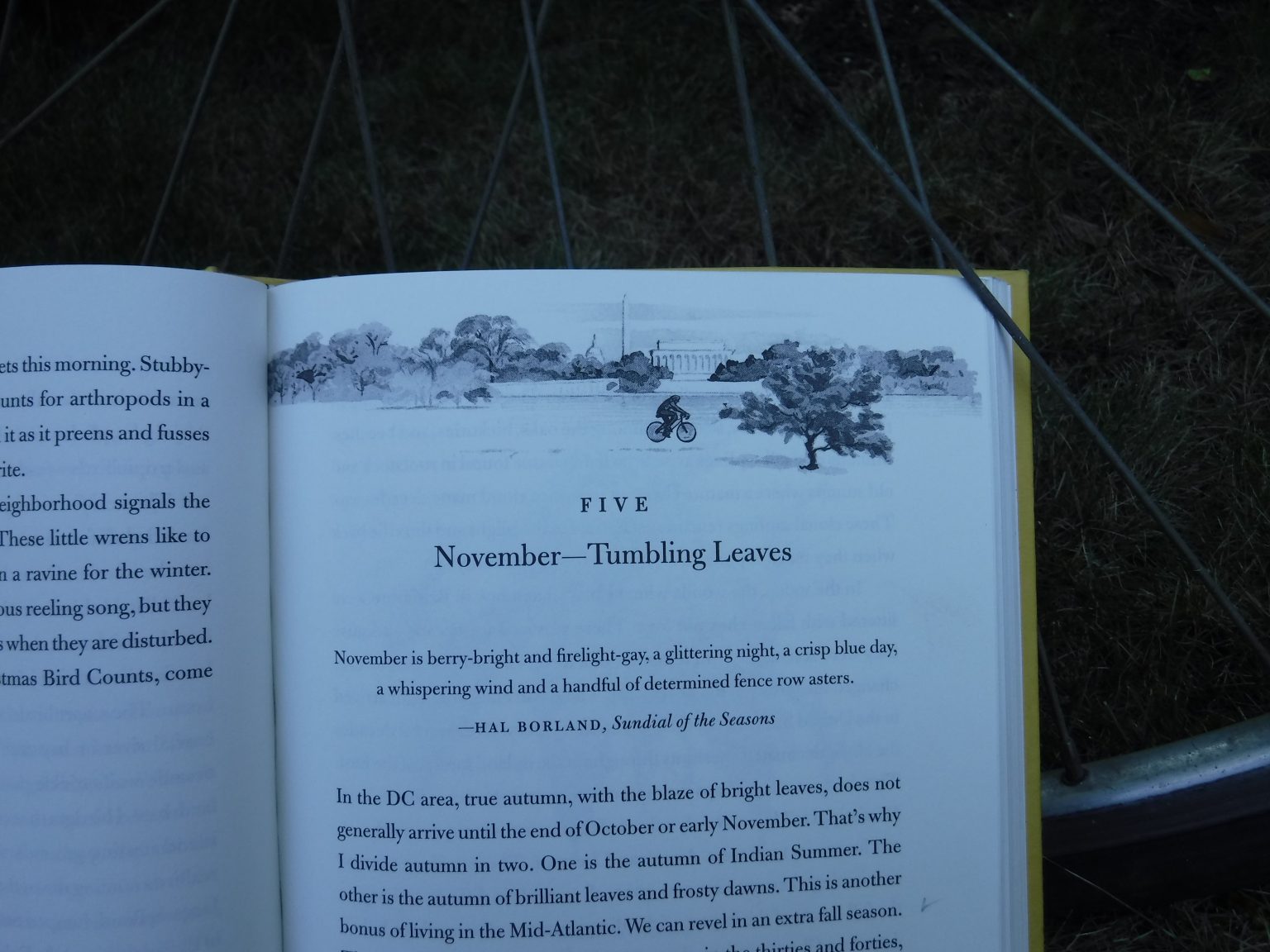 Beats the Beltway: a review of Bruce Beehler’s book “Natural Encounters ...