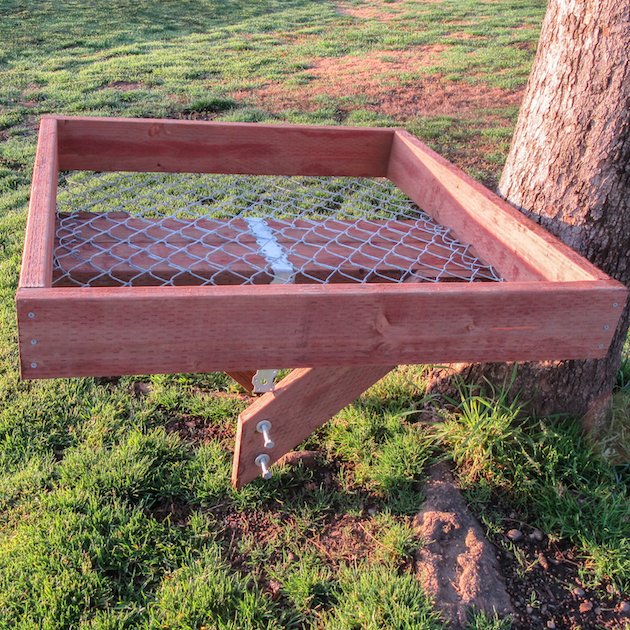 Osprey Nesting Platform Installation - 10,000 Birds