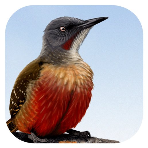 Sasol Birds of Southern Africa, 5th edition - 10,000 Birds