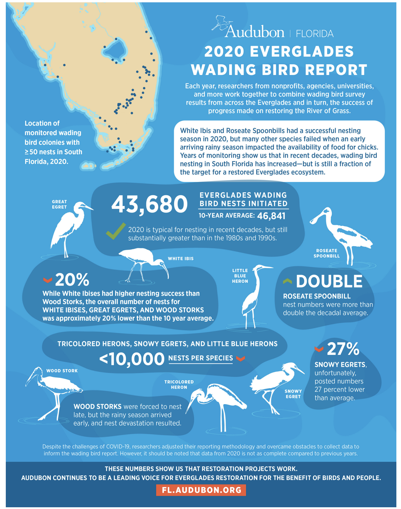 New 2020 Wading Bird Report Shows Mixed Nesting Success in the Greater ...