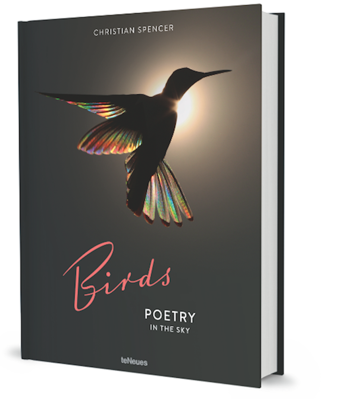 “Birds - Poetry in the Sky” - 10,000 Birds “Birds - Poetry in the Sky” - 10,000 Birds