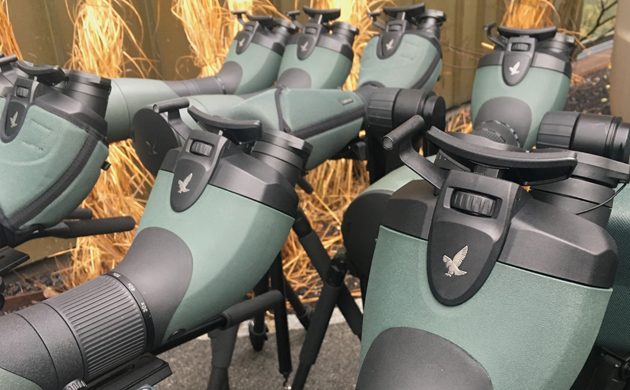 10,000 Birds The New Swarovski BTX, an Amazing Advancement in Spotting ...