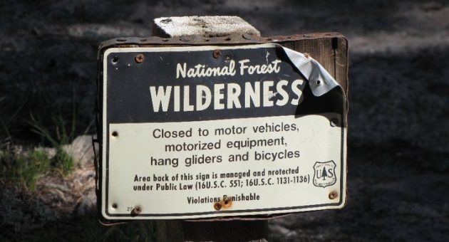 A Birder’s Guide to The Wilderness Act - 10,000 Birds