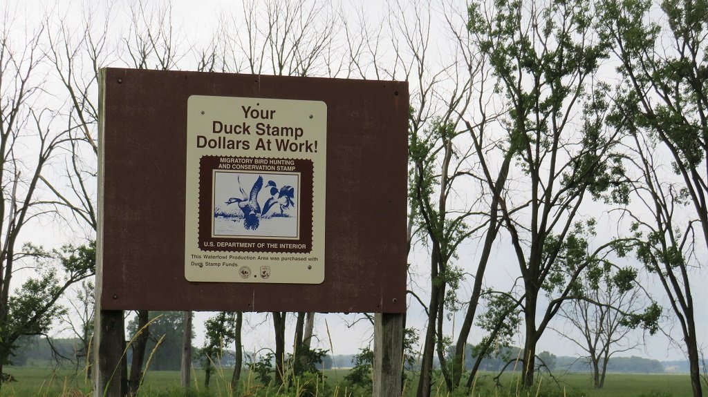 Duck Stamp Conservation 2023 - 10,000 Birds