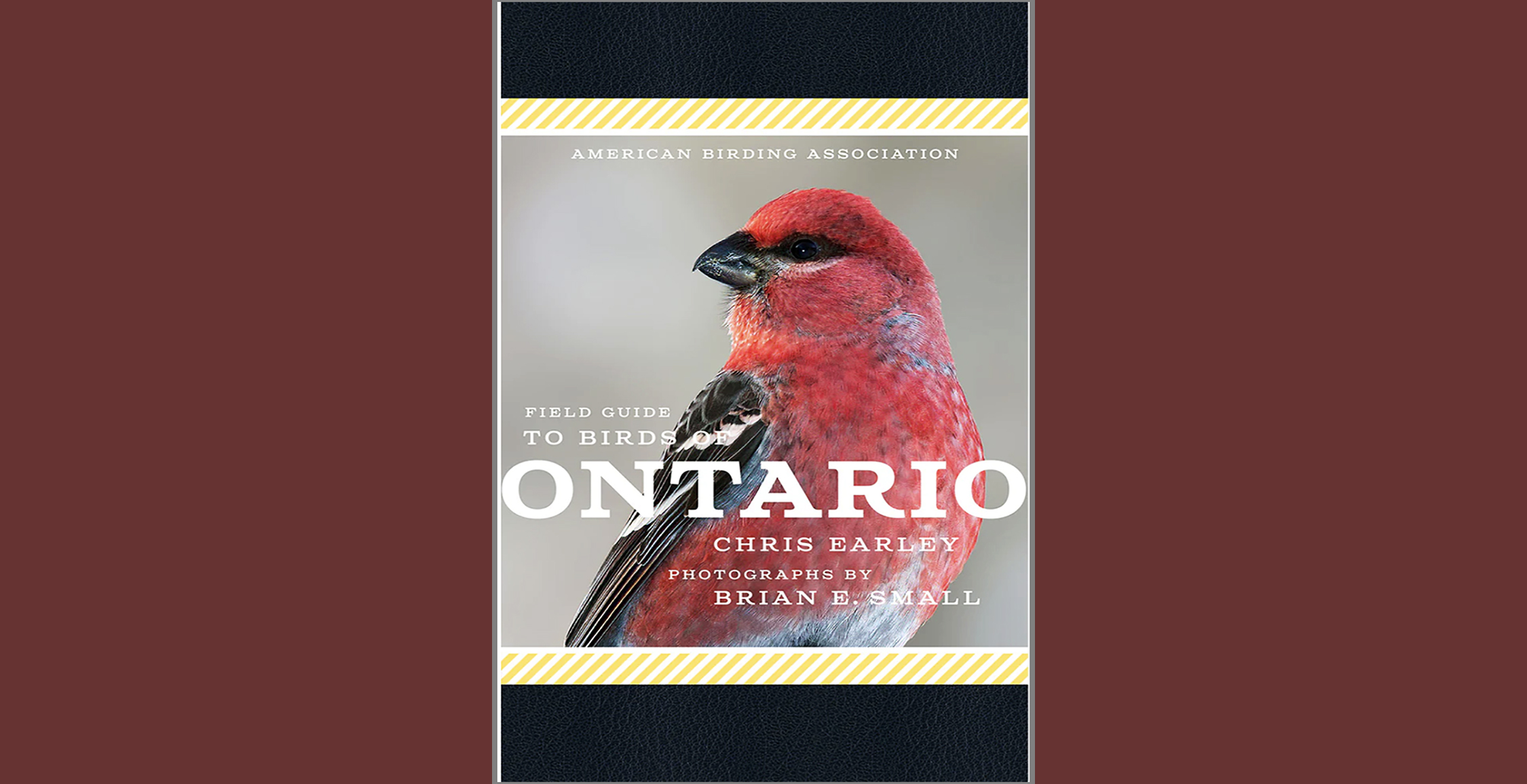 American Birding Association Field Guide to Birds of Ontario: A Field ...